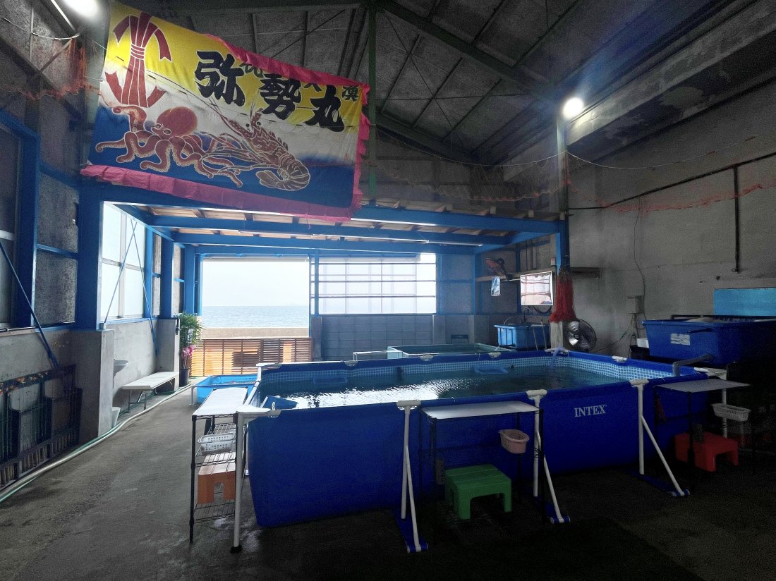 【開店】子連れも必見！ワンコインからの室内釣り堀「Red Sea Bream」が南知多町に6/2(月)オープン-記事-ちたまるNavi ...